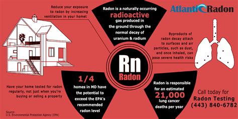 How Radon Affects Your Pets Atlantic Radon