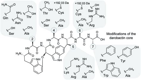 Structural Variation Among The Heterologously Produced Darobactin