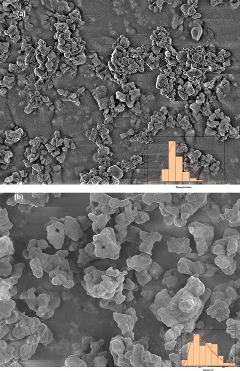 Fe Sem Image Of A Pure Barium Titanate And B 0 5 Ce Doped Barium Titanate Download Scientific