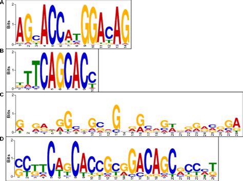 Identification Of Nrsf Binding Consensus Motif Sequence The Consensus Download Scientific