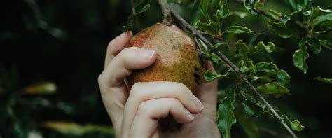 Schizophrenia And How Its Treated To Help You Along