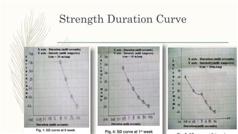 Strength Duration Curve Pptx Brain And Nervous System Disorders