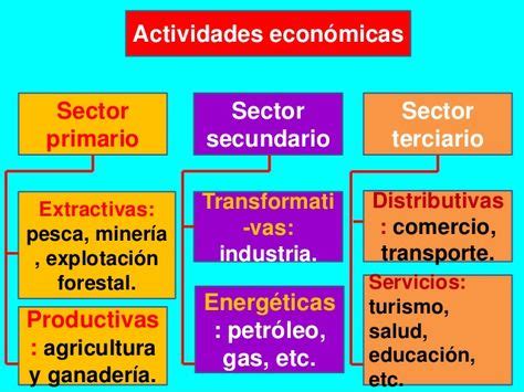 Sector Primario Secundario Y Terciario