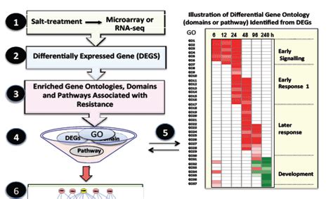 Designing Microarray And RNA Seq Experiments For Greater Systems Biology Discovery RNA Seq Blog