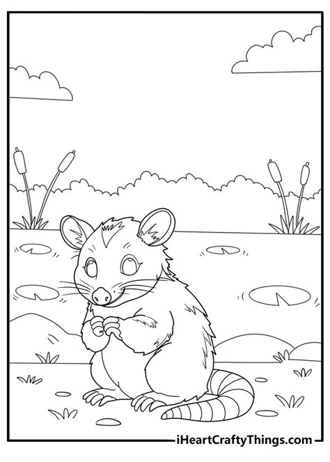 20 Opossum Coloring Pages Printable Pdfs For Free