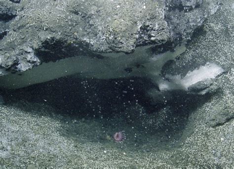 Scientists Listen To Ocean Bubbles Earth Earthsky