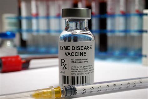 Lyme Disease Vaccine Research At Andres Lowe Blog
