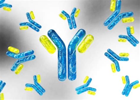 Plasmocyte 이미지 찾아보기 570 스톡 사진 벡터 및 비디오 Adobe Stock