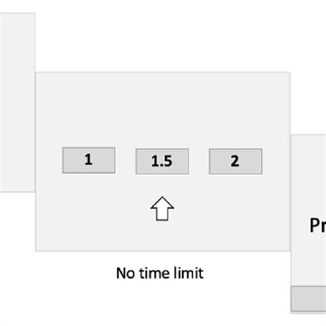 Schematic Representation Of The Experimental Progress Of One Trial Of