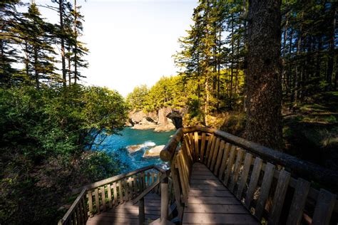 The Complete Cape Flattery Trail Review Neah Bay Washington Guide →