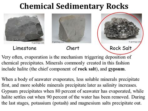 Rock Salt Sedimentary Rock
