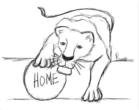 Illustrator Roxanne Knott