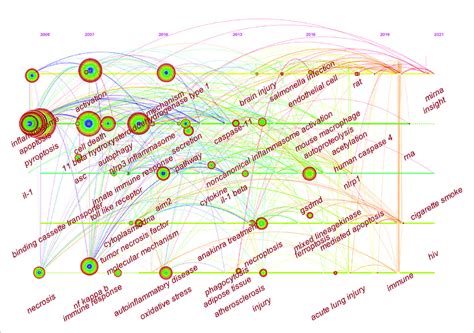 Citespace Visualization Map Of Timeline Viewer Related To Pyroptosis Download Scientific Citespace Visualization Map Of Timeline Viewer Related To Pyroptosis Download Scientific