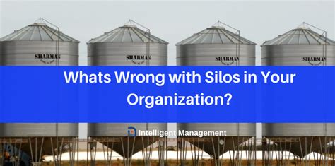 Whats Wrong With Silos In Your Organization Intelligent Management