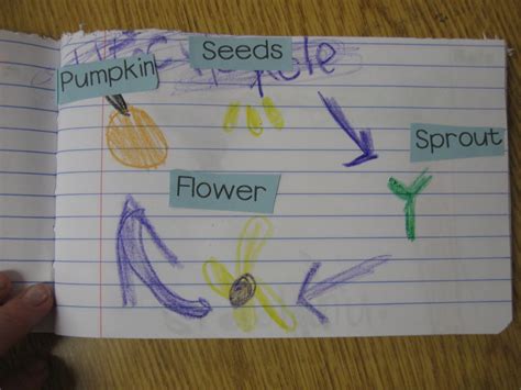 Teaching Learning And Loving Science Notebooks