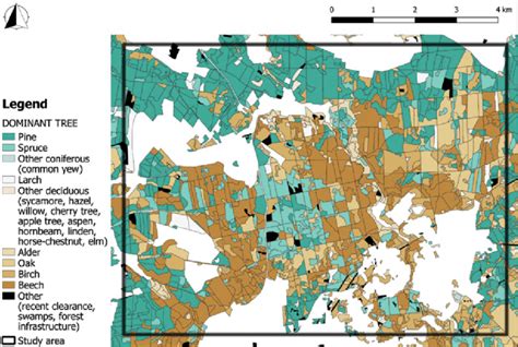 Forest Extent And Structure As Of January 1 St 2018 © Forestry