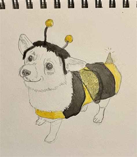 Original Post Is Gone But I Drew Your Corgi Bee R Redditgetsdrawnbadly