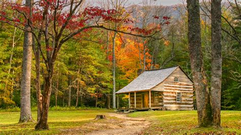 Ten Quick Tips To Improve Your Photography Number Three Framing As A