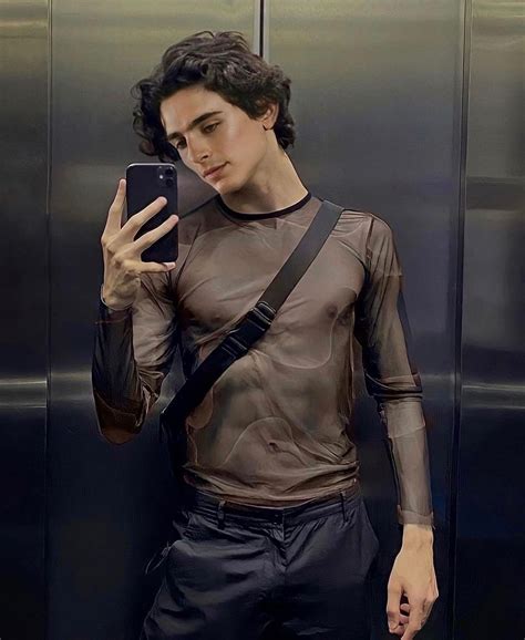 Elio Perlman Timothee Chalamet Artofit