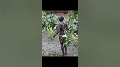 Unraveling The Reasons Why Some Tribes Dont Wear Clothes Youtube