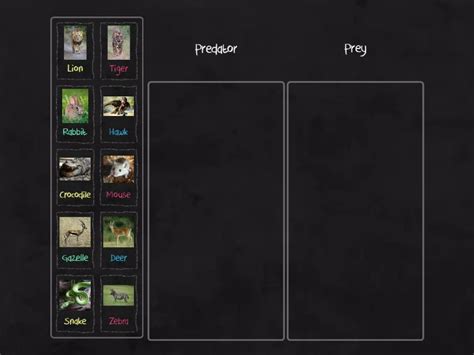 Predator Or Prey Categorize