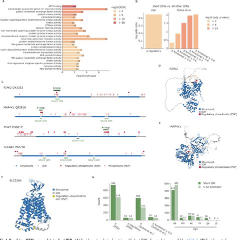 Figure 4 From The Structural Context Of Posttranslational Modifications At A Proteome Wide Scale
