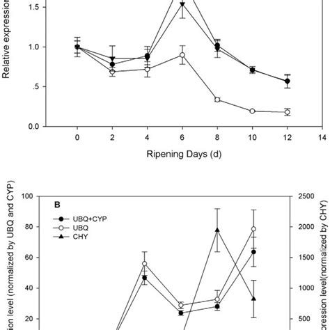 relative quantification of cpaexy1 expression using validated reference