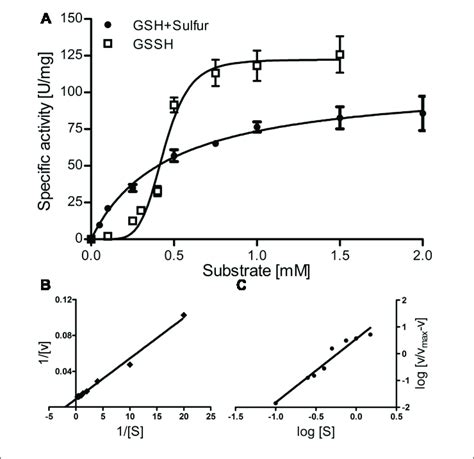 Enzyme Kinetics Of The Acpdo A Activity Vs Substrate Download Scientific Diagram