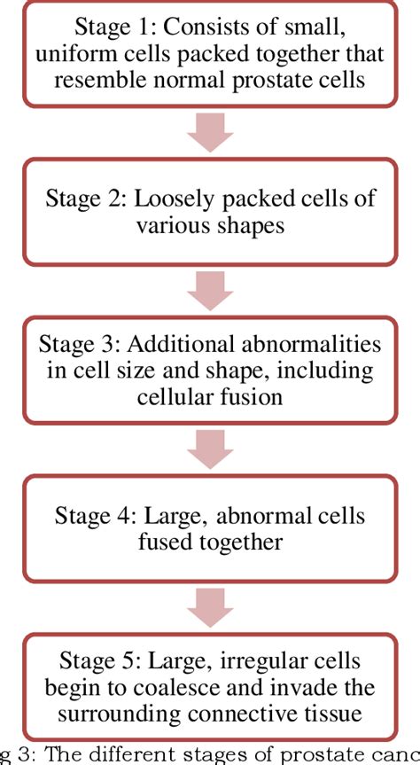Figure 3 From Deep Dna Machine Learning Model To Classify The Tumor