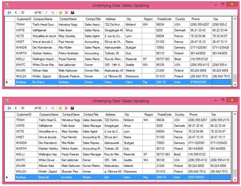 Data Updating Ado Net Objects