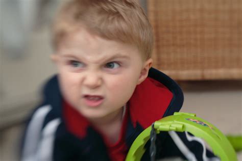 The Scowl Monkeymyshkin Flickr