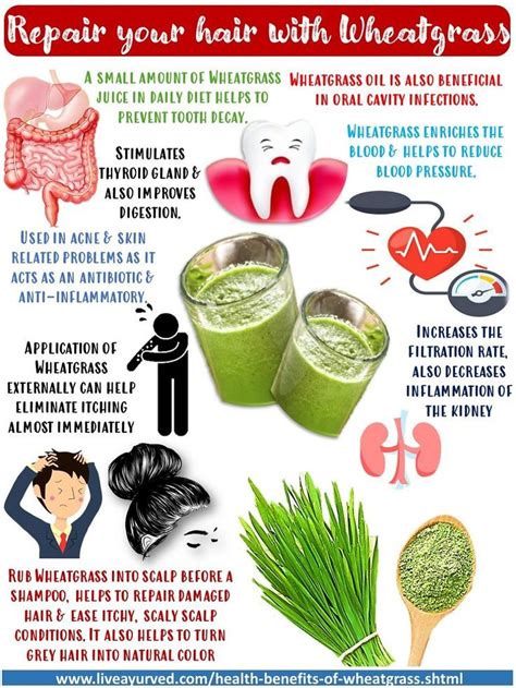 How To Make Wheatgrass Shots And Juice Artofit