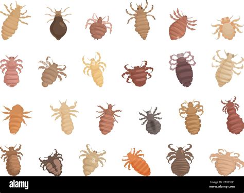 Lice Icons Set Cartoon Vector Nature Parasite Insect Head Stock
