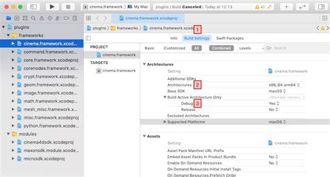 Development For Macos Cinema 4d C Sdk