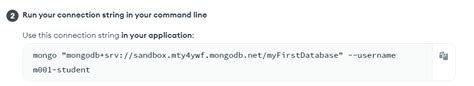 Unable To Initiate Connection To Sandbox Nslookup Fails Mongodb
