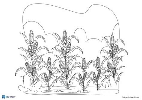 14 Free Corn Coloring Pages Pdf Esl Vault