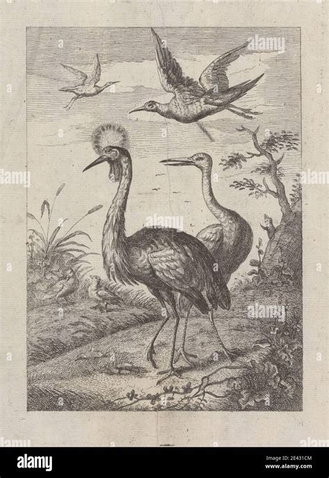 Print Made By George Bickham 16834â€ 1758 British Two Crested