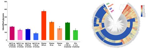 Trimming Glycans To Make Most Of Biomedical Samples Sweet And
