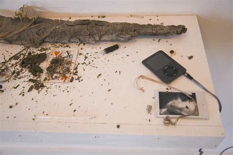 Hibernaculum Corie Waugh