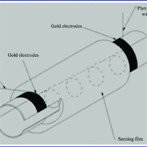 Structural Schematic Illustration Of The Gas Sensor Download Scientific Diagram