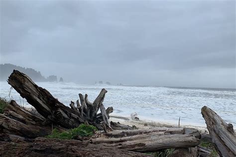 Long Beach Wa Weather Forecast