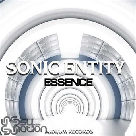 Sonic Entity Essence