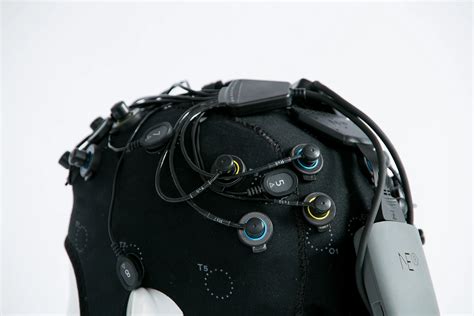 Fnirs Tdcs Eeg Artinis Medical Systems Fnirs And Nirs Devices