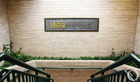 Usf Rises In Ranks