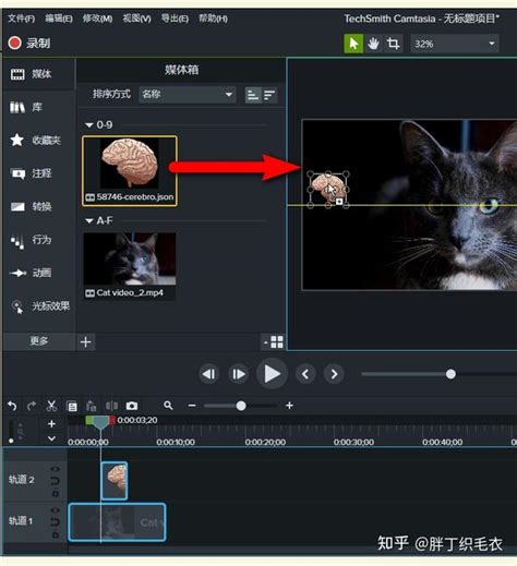 Camtasia 2021教程—lottie动画 知乎