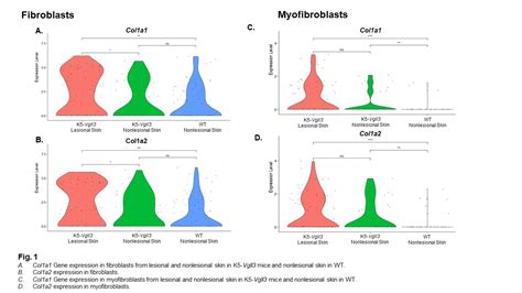 Vgll3 Transgenic Autoimmune Mice Display Features Of Cutaneous Fibrosis