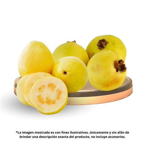 Guayaba Central De Abastos Valle De Chalco