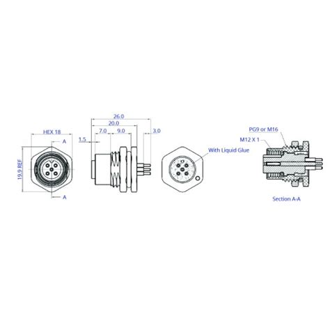 Cc12 Xxs Fx Pbx M12 Front Fastening Socket A And D Code