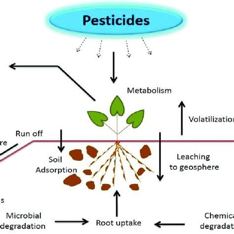 Environmental Fate Of Pesticides Post Application Ahemad And Khan 2013 Download Scientific