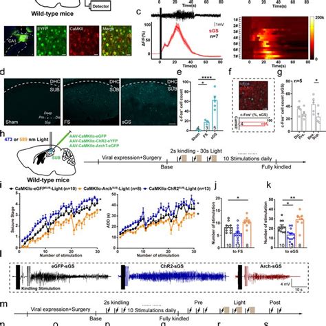 Subicular Pyramidal Neurons Control The Generalization Of Hippocampal